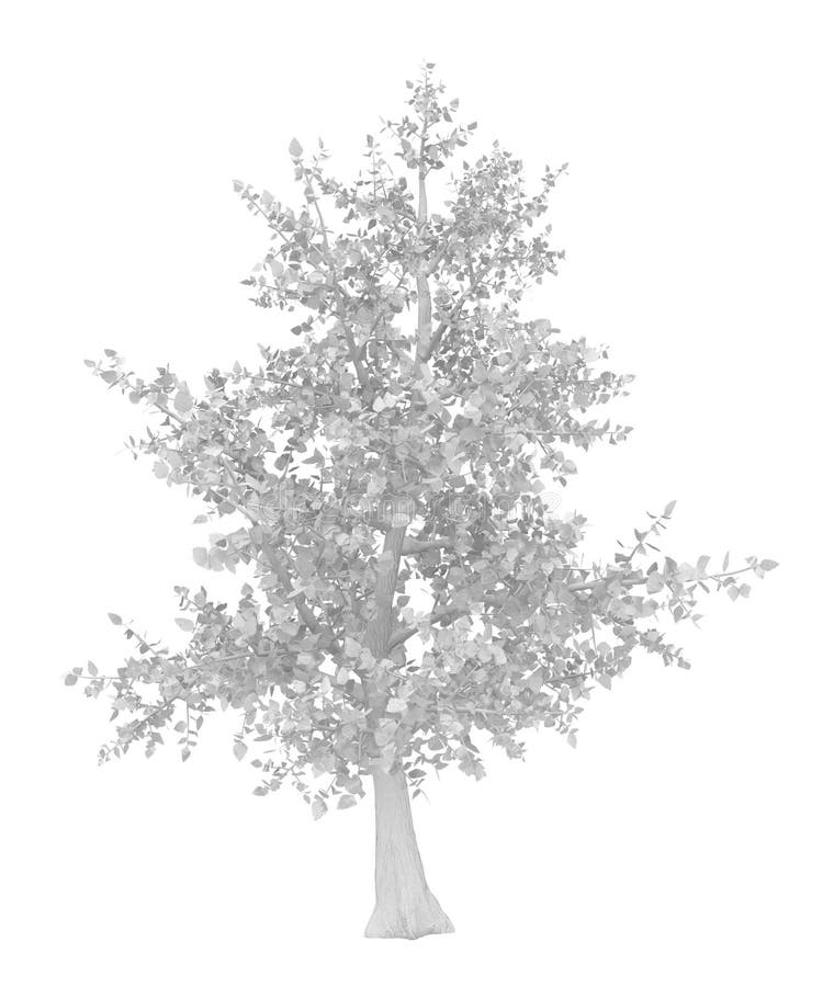 White Tree stock illustration. Illustration of artificial - 15081408