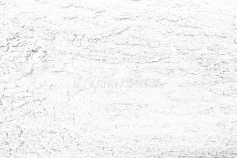 White Tree Bark Texture Background. Stock Image - Image of tree, macro ...