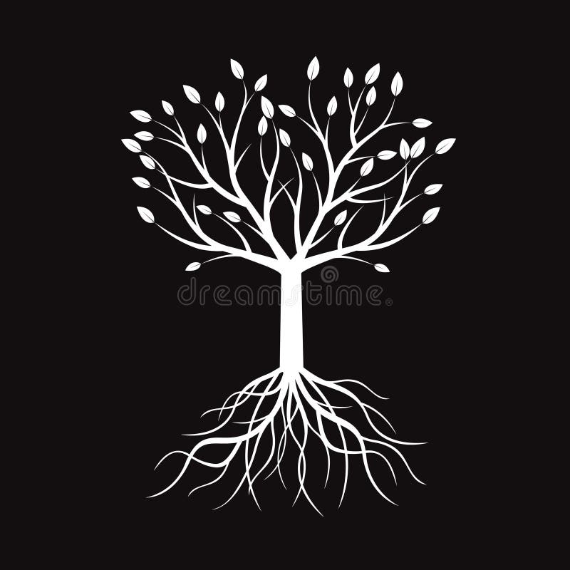 White Tree and Roots. stock illustration. Illustration of spring - 88156171