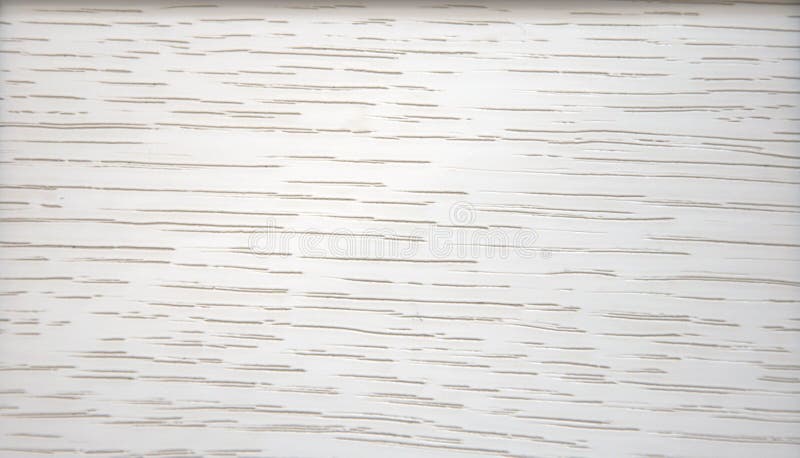 White Tree, the Texture of Natural Pattern on the Cut. Background ...