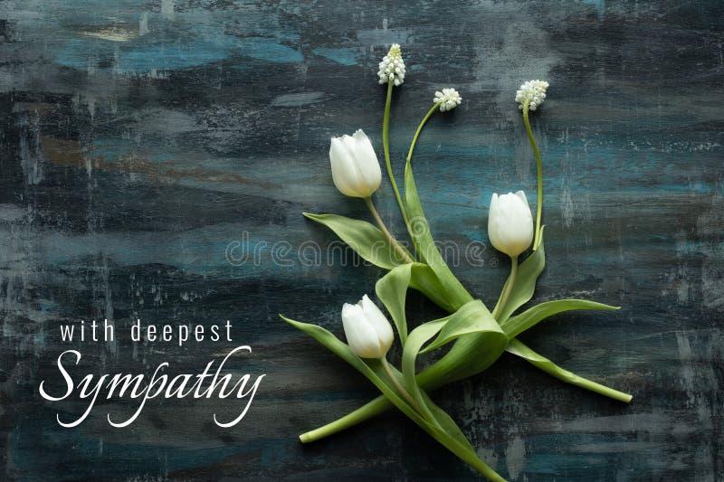 White Tulips on a Dark Textured Background with Text with Deepest ...
