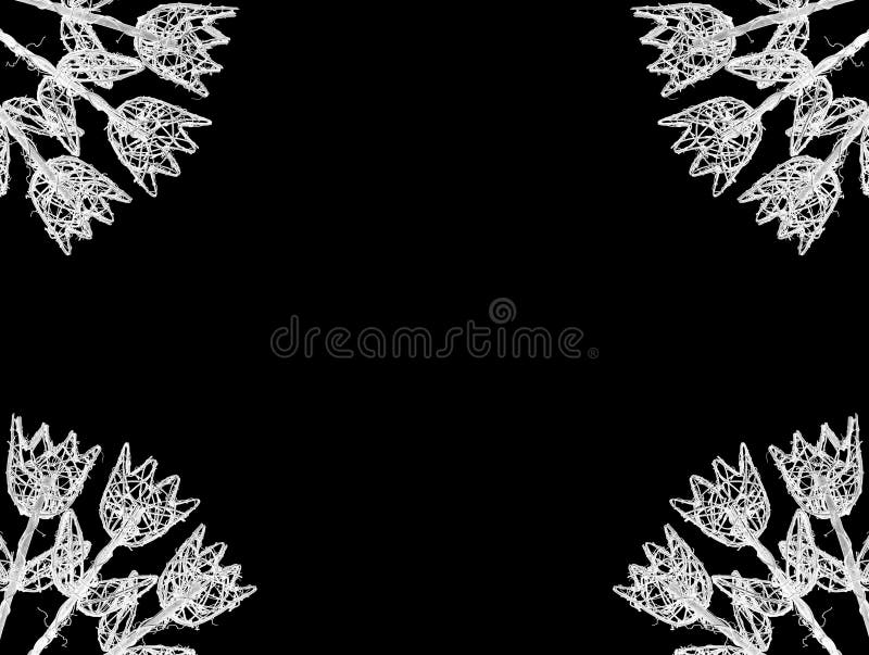 White Tulips Frame stock illustration. Illustration of white - 11605664