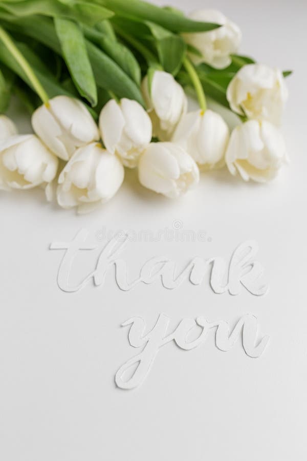 230 Thank You Script White Background Stock Photos - Free & Royalty ...