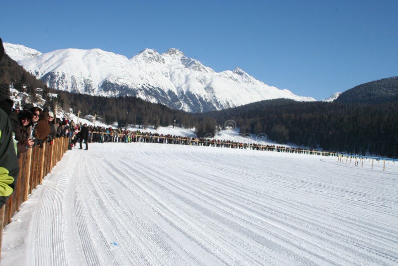 White turf editorial photography. Image of fence, racecourse - 23290642