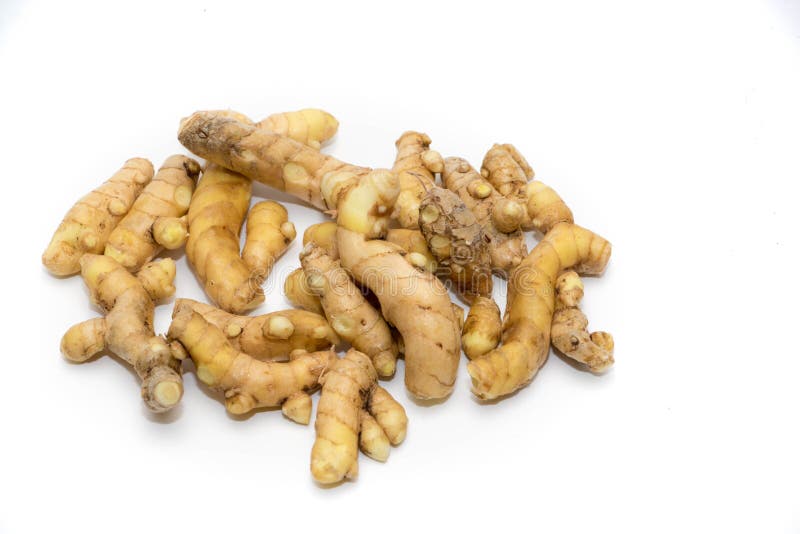 White Turmeric Isolated on White Stock Photo - Image of ayurveda ...