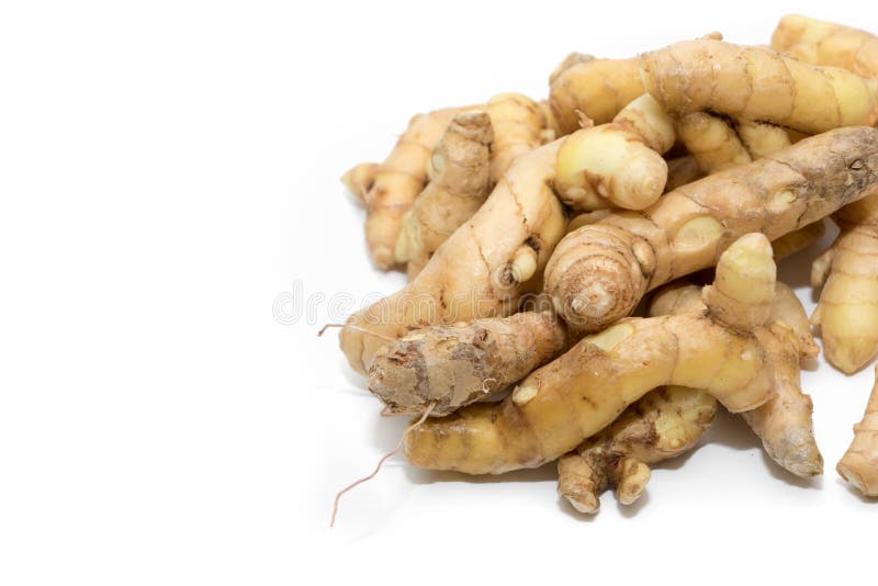 White Turmeric Isolated on White Stock Image - Image of slice, nature ...
