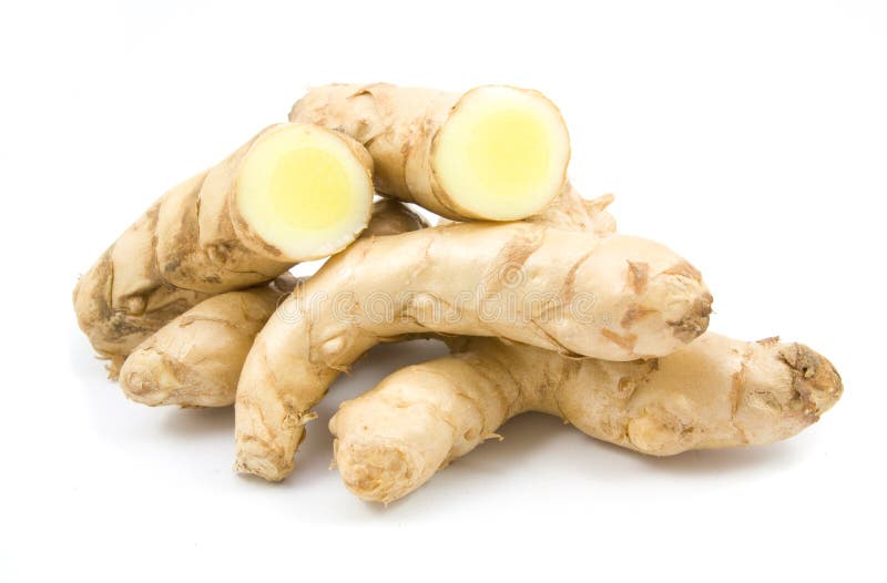 White Turmeric isolated stock image. Image of medicine - 68904775