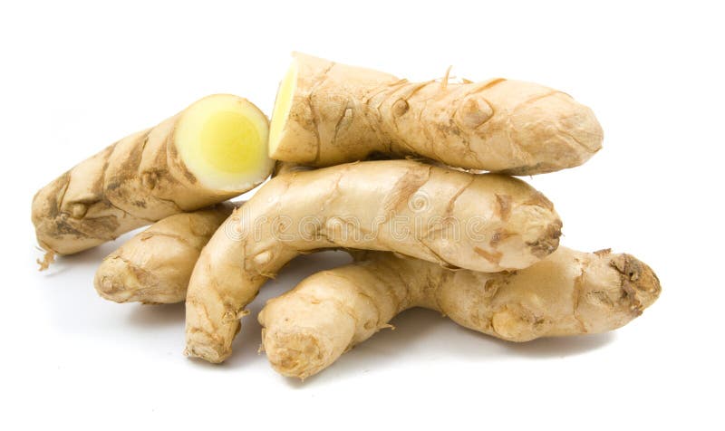 White Turmeric isolated stock image. Image of fresh, india - 68904269
