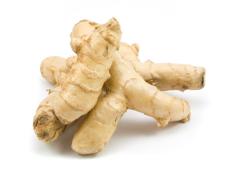 White Turmeric isolated stock image. Image of ingredient - 72127435