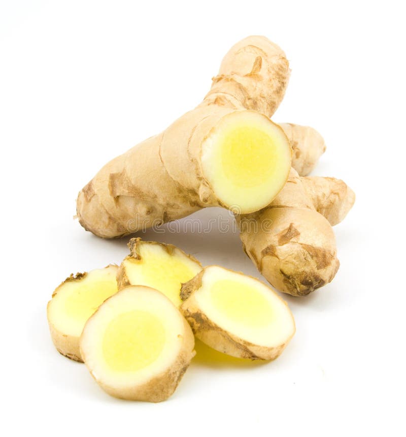 White Turmeric isolated stock image. Image of nutrition - 77204655