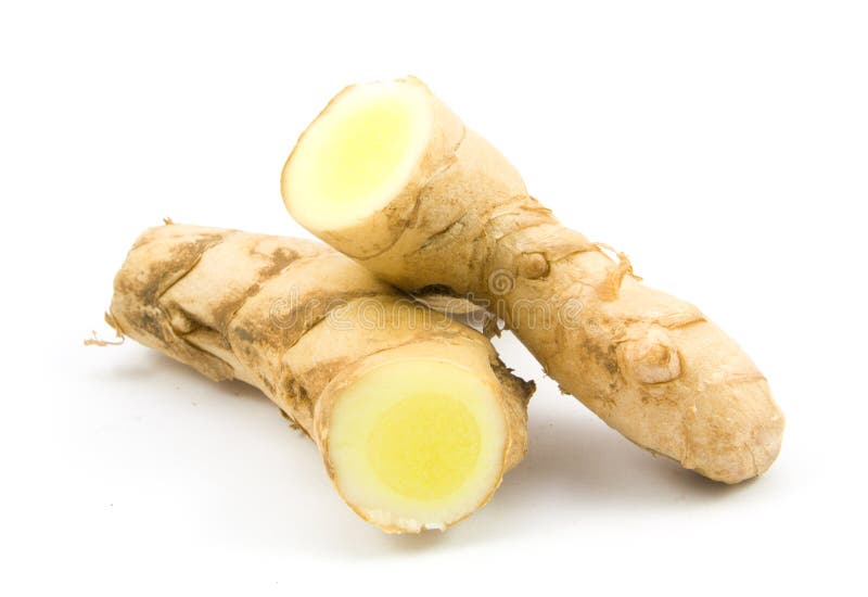 White Turmeric isolated stock image. Image of curcuma - 78849739