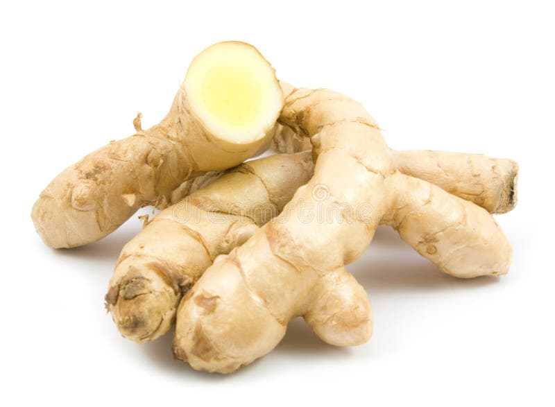 White Turmeric Flower at Plant. Stock Photo - Image of bloom, asia ...