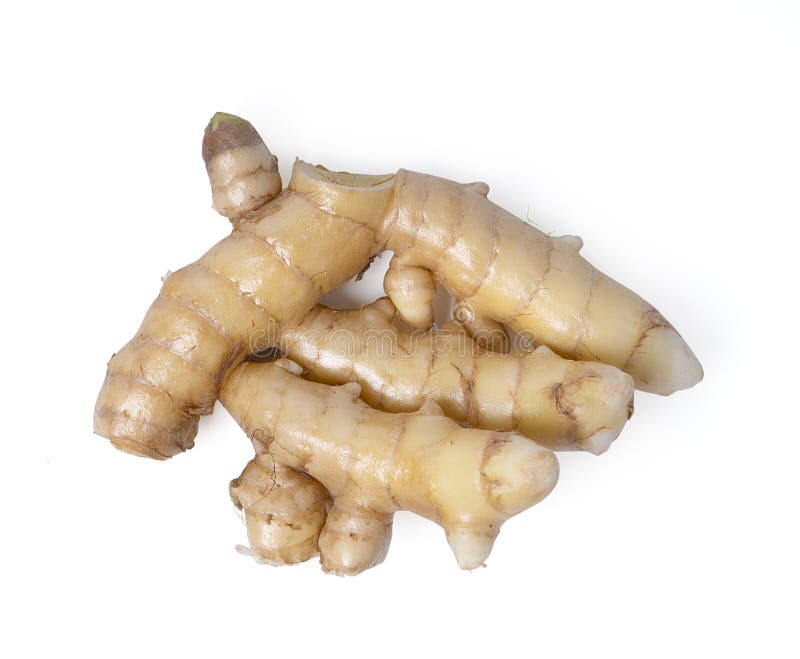 White Turmeric Root on White Background Stock Image - Image of clean ...