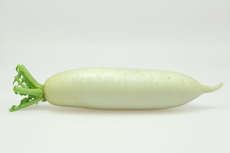 White Turnip Royalty Free Stock Photo - Image: 28301675