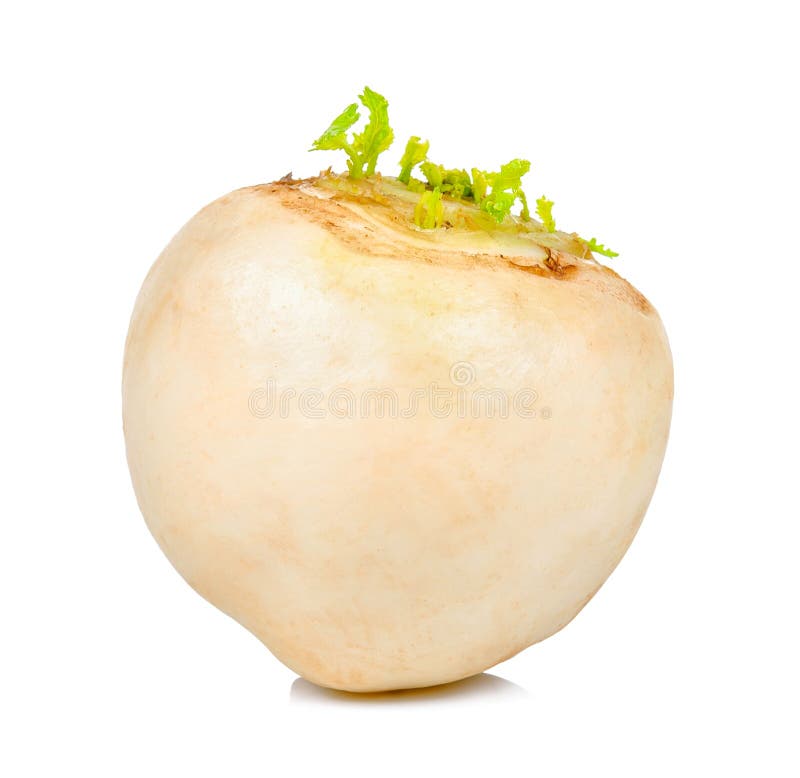 White Turnip Isolated on the White Background Stock Image - Image of ...
