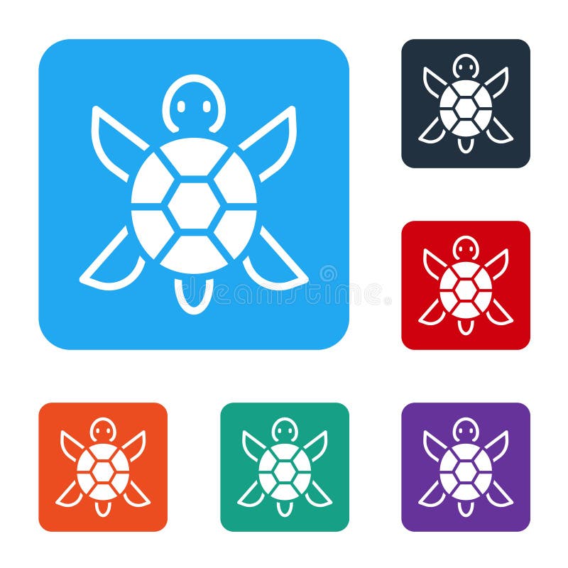 White Turtle Icon Isolated on White Background. Set Icons in Color ...