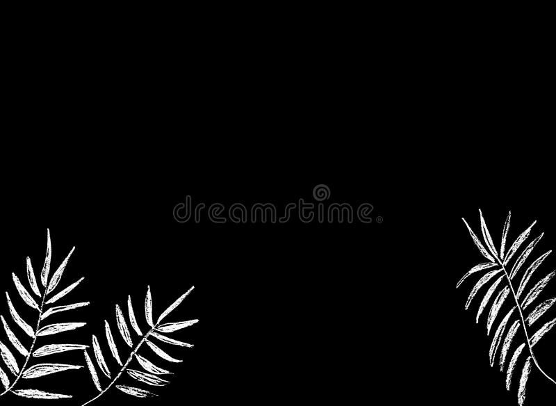 White Twigs of a Tropical Plant on a Black Background Stock Photo ...