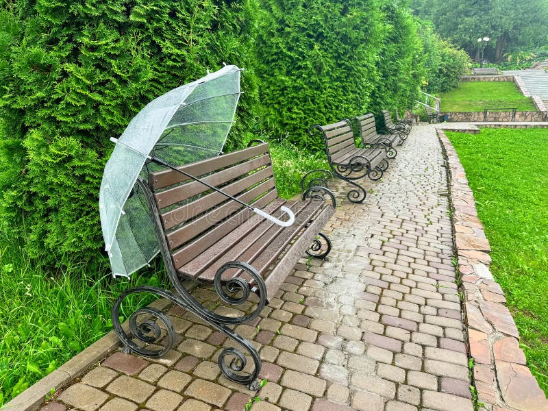 White Umbrella on a Bench, Rainy Weather in the Park Stock Image ...