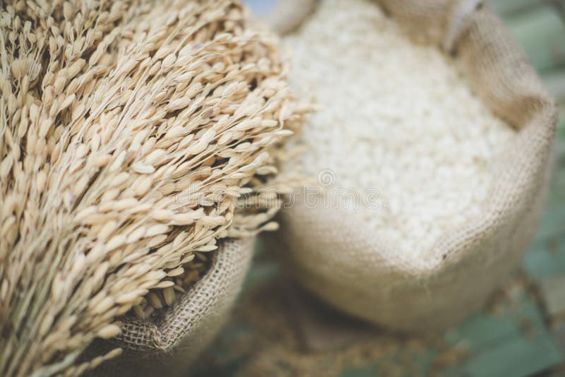 White Grain Rice in Burlap Sack Bag Stock Photo - Image of white ...