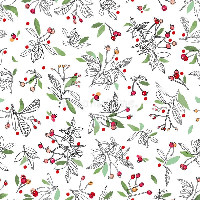 White Pattern with Winter Berries. Stock Vector - Illustration of ...