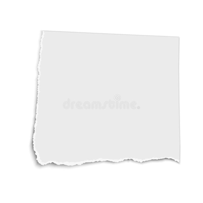 White Vector Square Paper Tear Isolated on White Stock Vector ...
