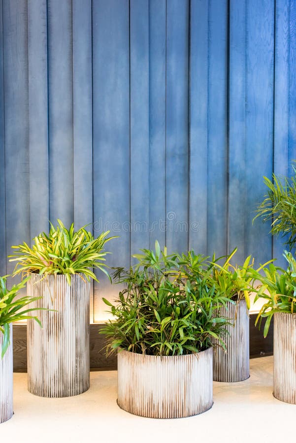 White vintage tree pot stock image. Image of blue, architecture - 93773425