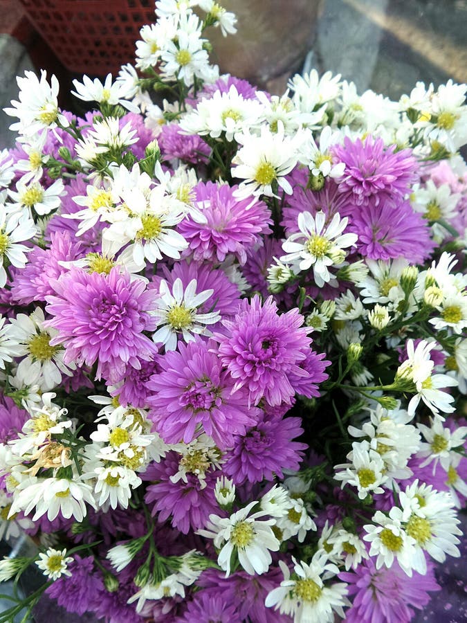 White and Violet Flower Bouquet Stock Image - Image of bouquet ...