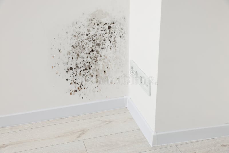 White Wall Affected with Mold in Room Stock Photo - Image of damp ...