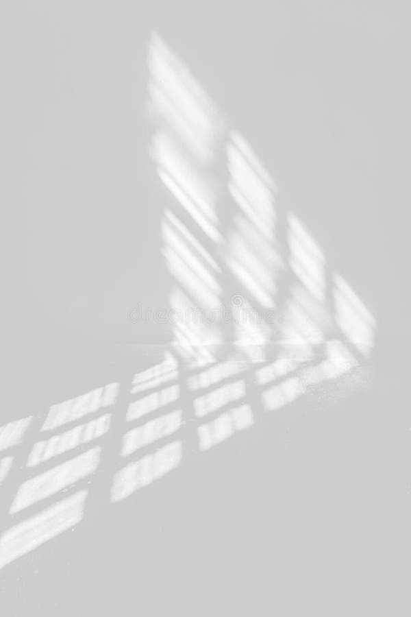 White Wall Background with Shadow Pattern, with Window Shadow. Concept ...