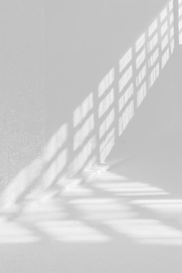White Wall Background with Shadow Pattern, with Window Shadow. Concept ...