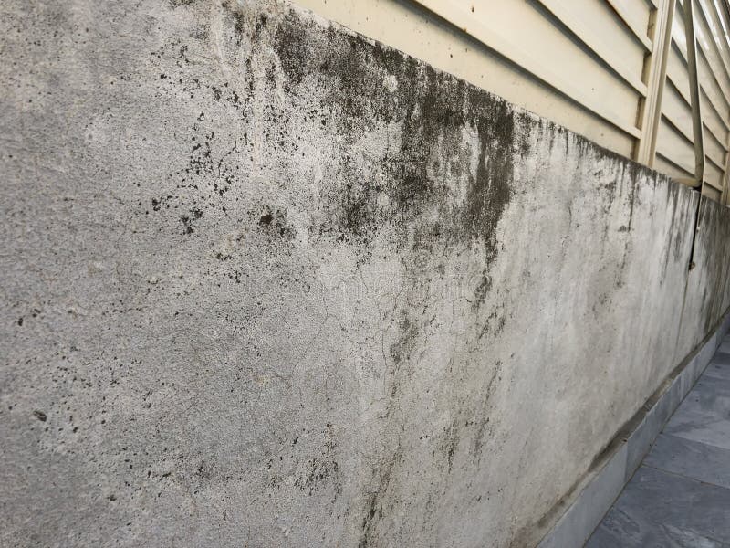 White Wall Damage Caused by Damp on a Wall in Modern House Stock Photo ...