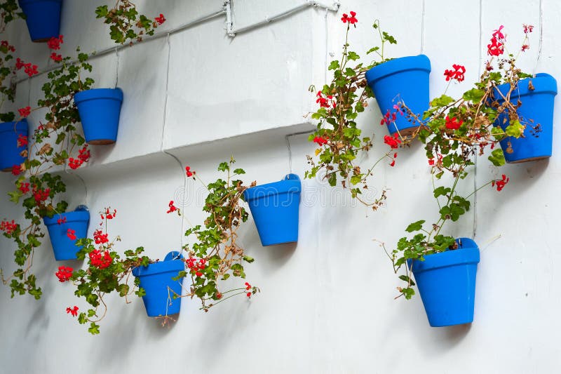 White Wall Decorated with Beautiful Blue Flower Pots Stock Photo ...