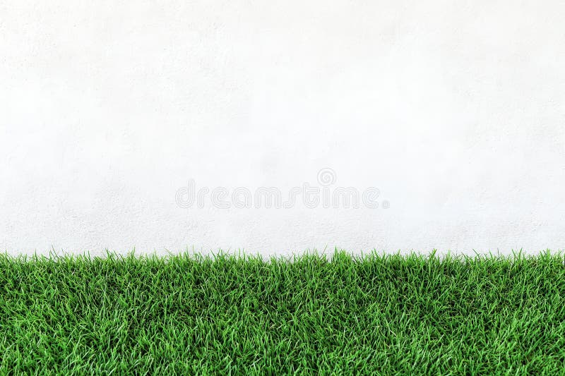 White Wall with Green Grass at the Bottom Stock Illustration ...