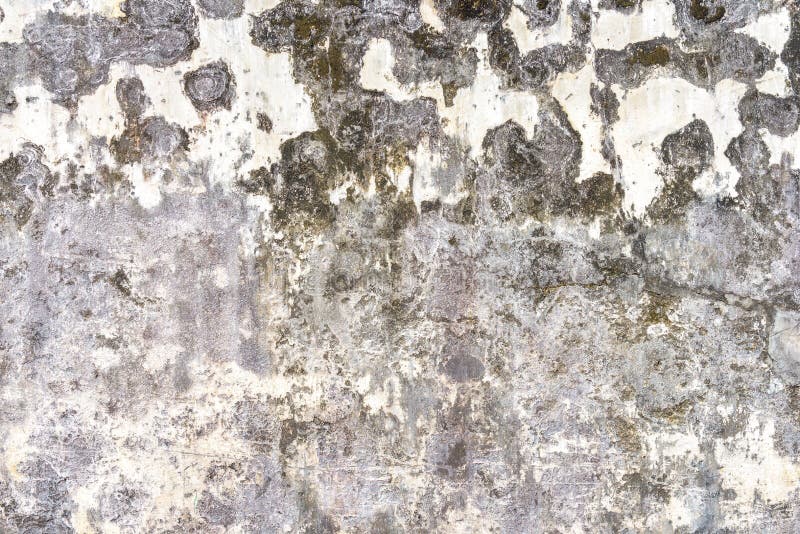 Mildewed wall stock photo. Image of room, house, hygiene - 44863230