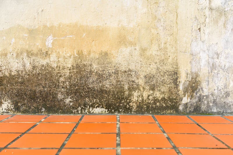 White Wall and Mildewed Walls Stock Image - Image of material, cement ...