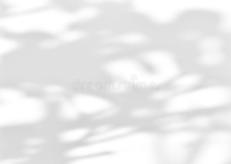 White Wall with Shadow of Leaves Overlay. Sunlight Effect Shadow on the ...