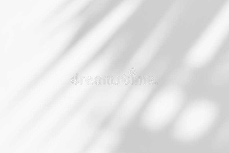 White Wall with Shadow of Leaves Overlay. Sunlight Effect Shadow on the ...
