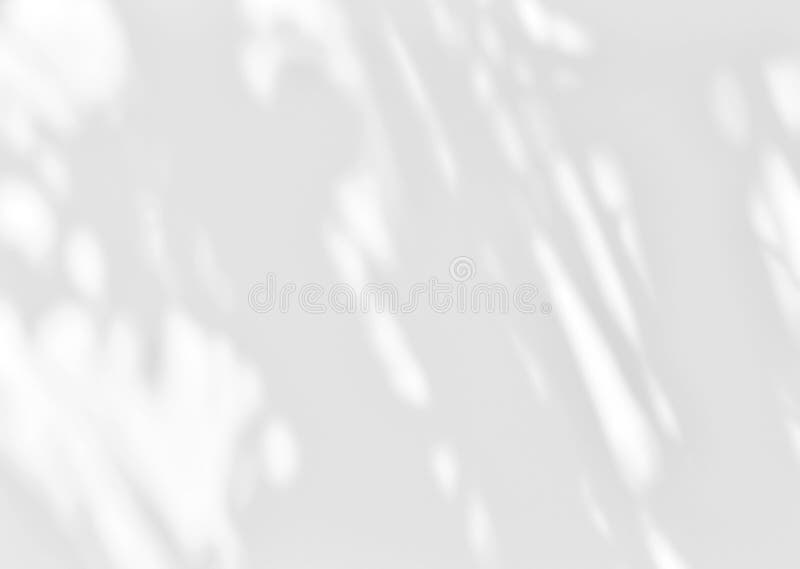 White Wall with Shadow of Tropical Tree Forest Overlay. Stock Photo ...