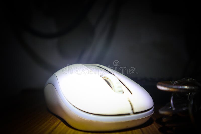 White warless mouse stock image. Image of mouse, darkness - 264891141