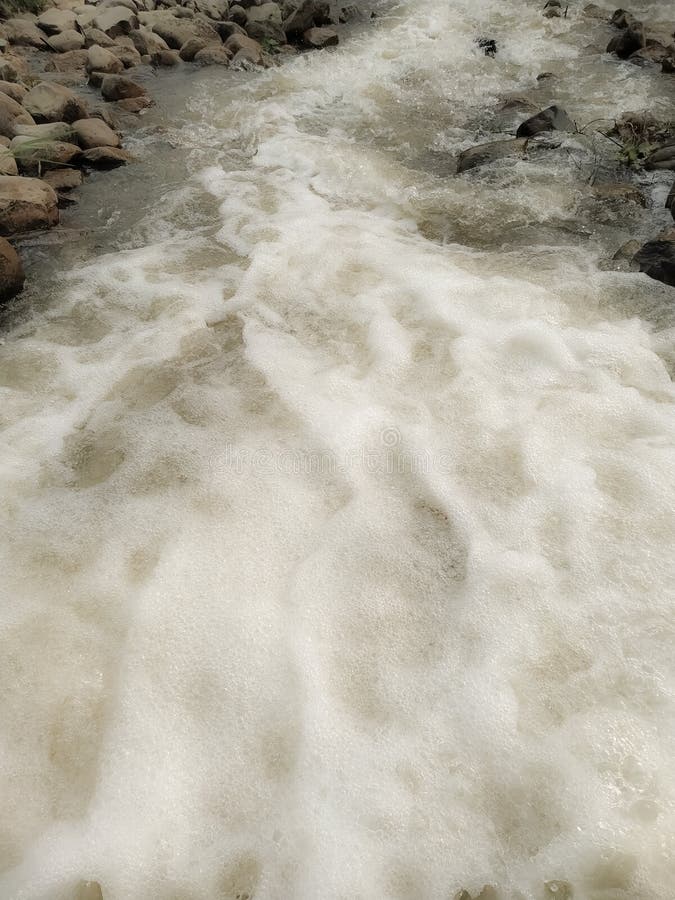 White Water Flowing into the River Beautiful Forest Stock Photo - Image ...