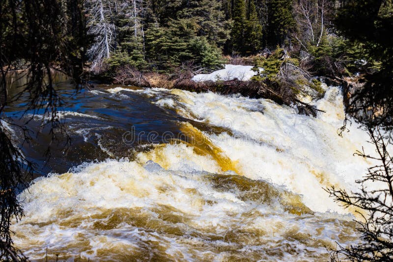 White Water Rapids in a River in the Boreal Forest of Canada Stock ...