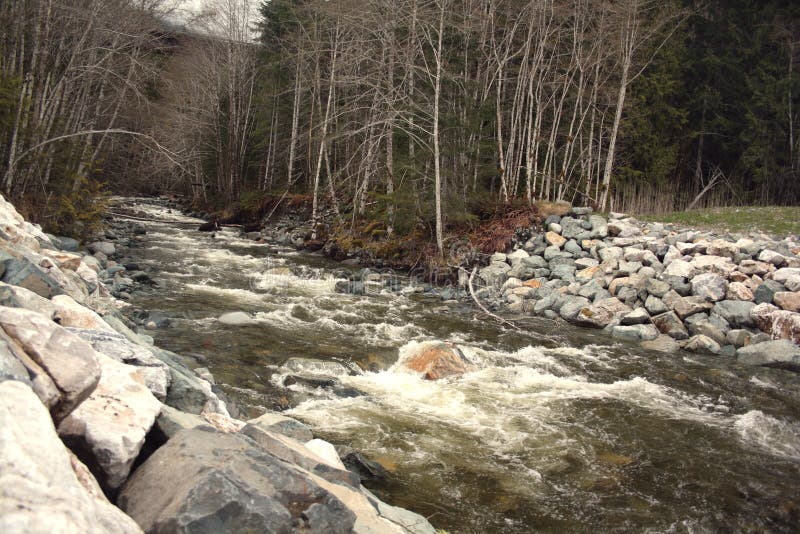 White water river stock image. Image of white, river - 45541899