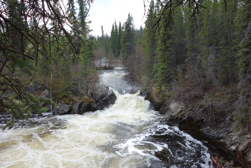 White-water River in the Spring. Stock Image - Image of river, flowing ...