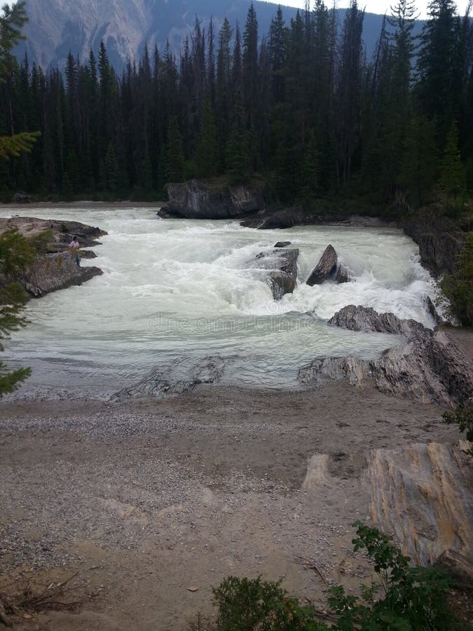 Rush water flow stock photo. Image of rushes, water - 145168686