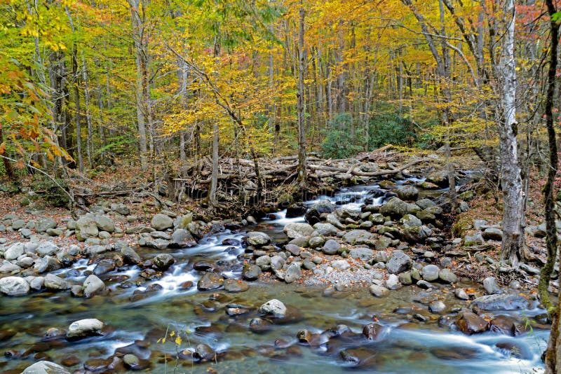 Fall Colors Surround a Small White Water Stream in Fall. Stock Image ...