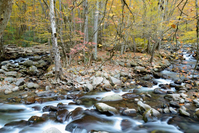 Fall Colors Surround a Small White Water Stream in Fall. Stock Photo ...