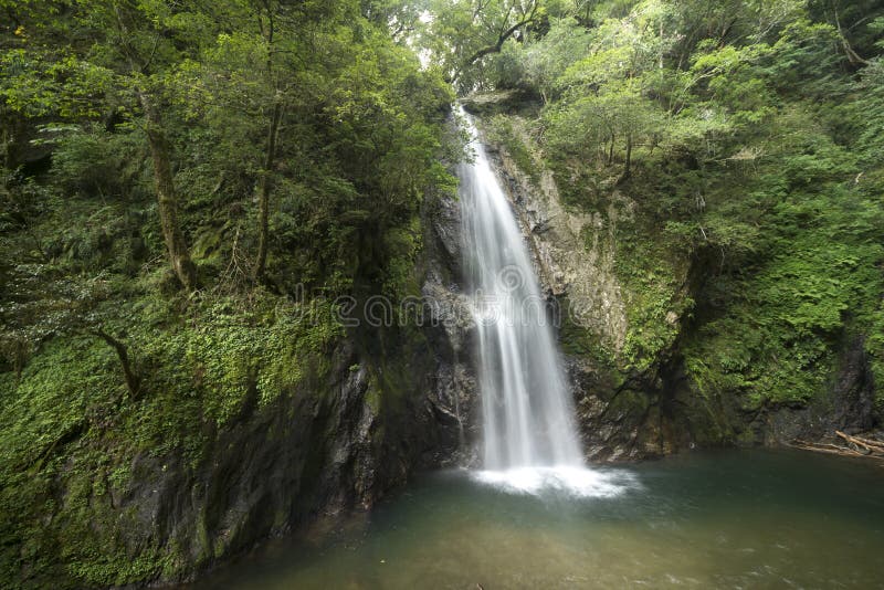 Waterfall and trees stock photo. Image of landscape - 124524866