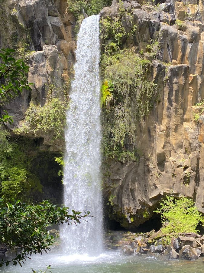 White Waterfall View in the Green Forest Stock Image - Image of cliff ...