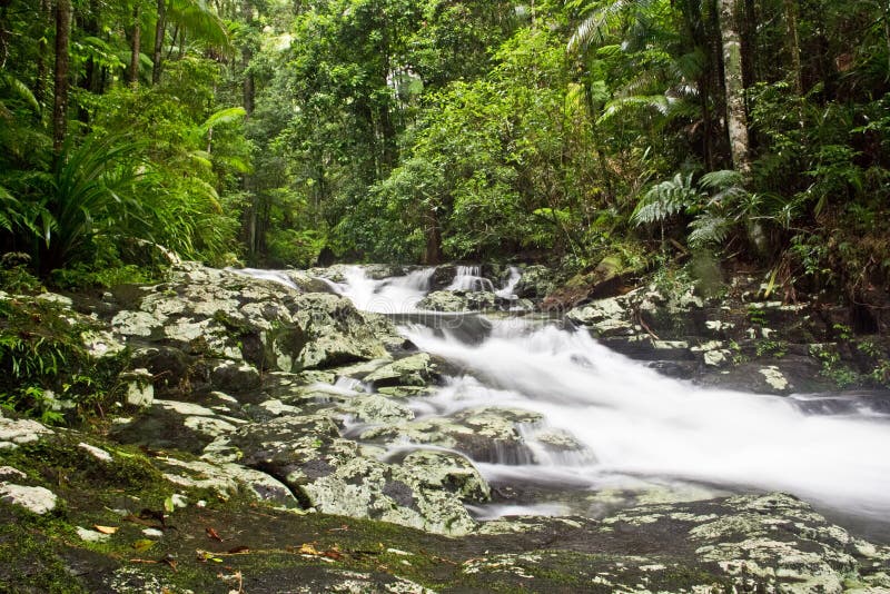 White Waterfall stock photo. Image of green, tree, leaf - 34261570