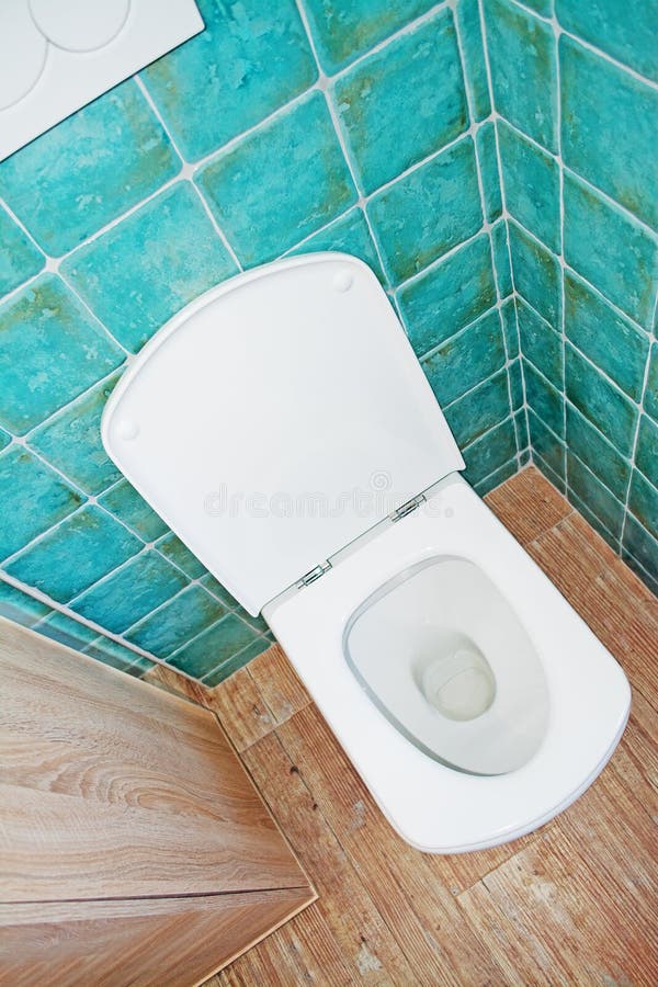 White wc bowl stock photo. Image of bathroom, flush, brown - 44875792